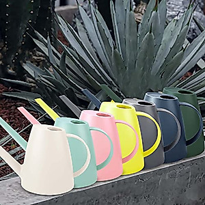 Watering Can for Indoor Outdoor Plants, Modern Small Watering Cans with Removable Nozzle, Long Spout Watering Can for Indoor Bonsai Plants Garden Flowers 1/2 Gallon 1.8L 60OZ
