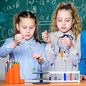 10 Pieces Glass Pipettes Graduated Dropper,Sonku 10pcs 1ml Long Glass Pipette Dropper with 10 Rubber Caps and 4pcs Droppers Brush