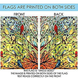Toland Home Garden 109537 Tree Birds Spring Flag 28x40 Inch Double Sided Spring Garden Flag for Outdoor House summer Fall Flag Yard Decoration