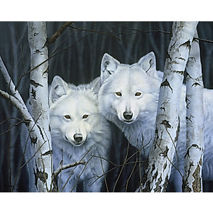 White Magic White Pair of Wolves Cotton Fabric AL4279 Size 36 X 44 Inches