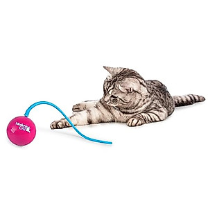 ALL FOR PAWS Interactive Cat Ball Toy