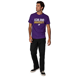 Ashland University Official Stacked Short Sleeve Mens Cotton T-Shirt,Purple, Large
