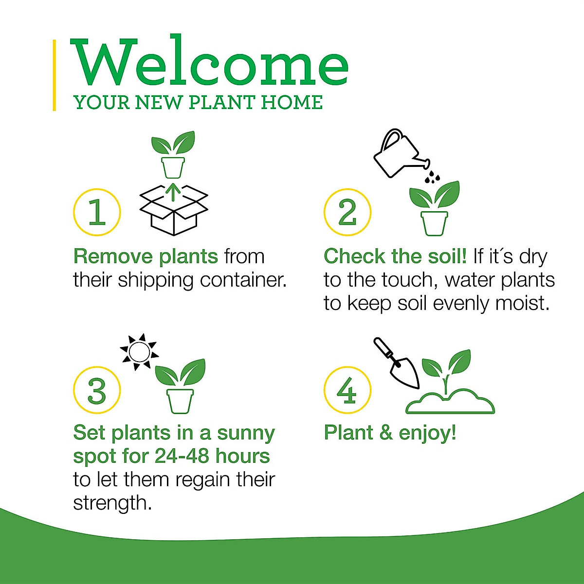 Bonnie Plants Italian Oregano Live Herb Plants, Perennial in Zones 5 to 10, Full Sun to Part Shade, 4 Pack