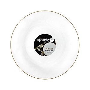 PLASTICPRO 30 Pack Hammered Plastic Plates Heavyweight Disposable Plastic Plates Elegant Transparent White With Gold Rim Platsic Party Dishes (Transparent White With Gold Rim, 9'' INCH PLATES)