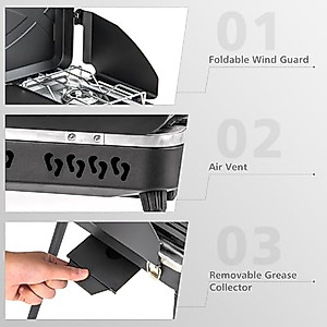 Giantex 2-in-1 Gas Camping Grill and Stove, Portable Propane Grill Burner with Dual Control Knobs, Detachable Legs, 3-Sided Wind Screen, Gas Hose with Regulator, 20,000 Total BTUs (Black)