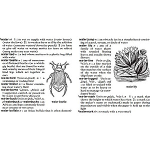 Merriam-Webster's Intermediate Dictionary, Newest Edition, (The Authoritative Middle School Dictionary)