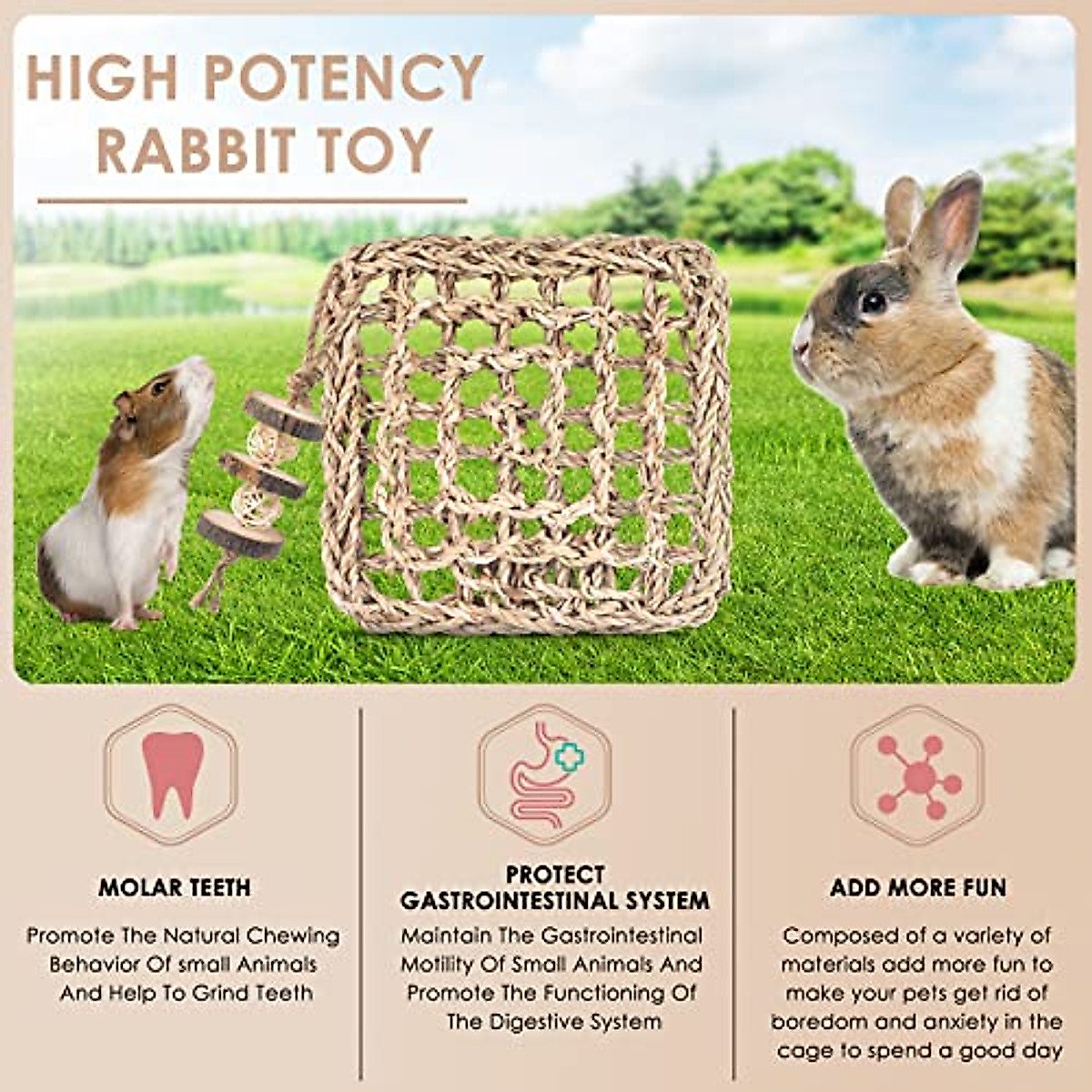 Bissap Seagrass Protector Mat with Treats, Rabbit Chews and Play for Bunny Chinchilla Guinea Pigs or Other Rodent Pets Hanging Chewing Toys