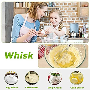 Immersion Hand Blender, 2-in-1 Multi-Purpose 500W Handheld Blender with Whisk, 20-Speed and Turbo Mode, 304 Stainless Steel Stick Blender for Smoothies, Puree Baby Food and Soups