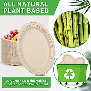50 Pack Oval Paper Plates,100% Compostable Paper Plates,12 inch Paper Plates Heavy Duty,Disposable Paper Plates,Natural Bagasse Unbleached Eco-Friendly Sugarcane Plates for BBQ Party Picnic Gathering