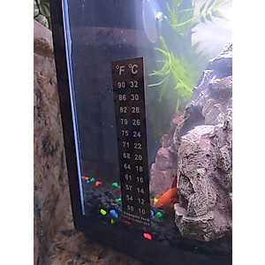 Stick On Thermometer Strip, Digital Temperature Display for Fermenting, Brewing, Wine, Beer, Kombucha or Aquariums. 50-90F (10-32C) Adhesive Sticker 10 Pack (10)