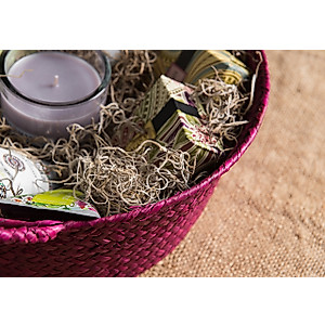 SuperMoss (26926) Spanish Moss Dried, Natural, 3 Pounds