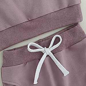 Sduydiosy Toddler Baby Girl Fall Outfit Letter Print Sweatshirt Top Elastic Waist Pant Cute Infant Newborn Winter Clothes Set (Daddys Girl Purple, 12-18 Months)