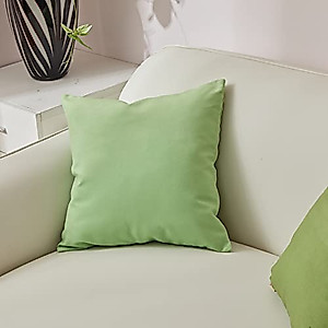 Tayis Green Throw Pillow Covers, Cotton Canvas Soft Square Pillow Cases 18x18 Set of 4, Decorative Pillows Suitable for Sofa Couch Bed Car Home