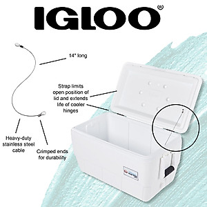 Igloo Cooler Cable Lid Strap, 14 Inch - Heavy Duty Stainless Steel
