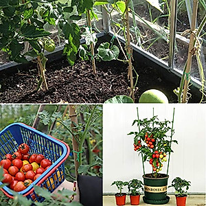 CAMITLLI Reusable Garden Plant Wire Twist Tie, Plant Ties Heavy Duty Soft Wire Tie for Gardening Home Office (Green, 2PCS X 32.8feet Total, 65.8feet)