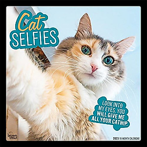 Cat Selfies | 2023 12 x 24 Inch Monthly Square Wall Calendar | BrownTrout | Pet Humor Kitten Feline