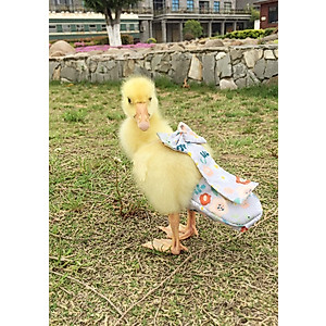 WCDJOMOP Duck Diapers, Chicken Diapers, Handmade Diapers for Poultry, Chicken, Duck and Goose Waterproof, Adjustable, Washable Reusable Diapers for Poultry, Duck Supplies (S(0.1kg-0.2kg),Floral)