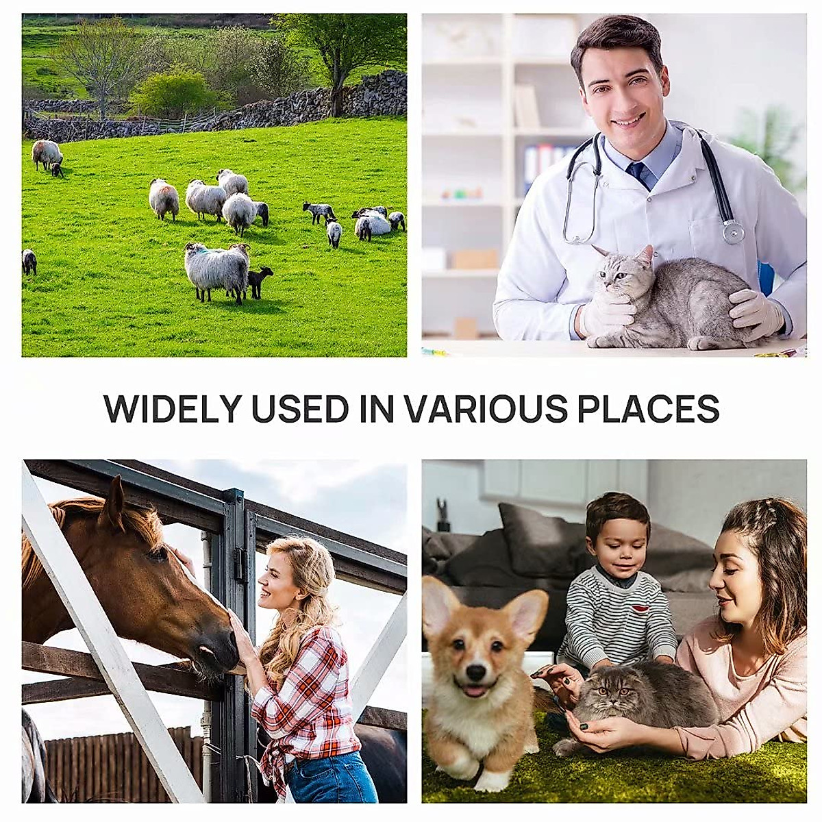 CONTEC Veterinary Ultrasound Scanner Color Doppler for Pregnancy in Animals/Goats/mare/Horses with 7.5Mhz endo-Rectal Probe