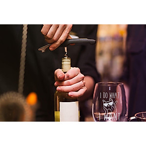 I Do What I Want - Funny 15oz Stemless Crystal Wine Glass - Fun Wine Glasses with Sayings Gifts for Women