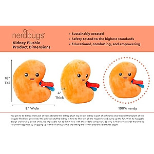 nerdbugs Kidney Plush - Urine for a Treat!- Large Kidney Plush Organ Toy/Kidney Transplant Gift/Health Education Gift/Dialysis Gift