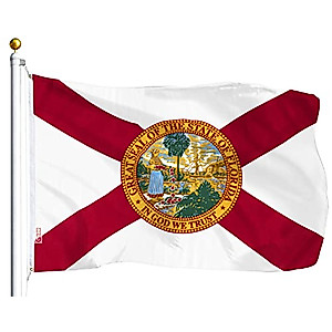 G128 Florida FL State Flag | 3x5 Ft | LiteWeave Series Printed 100D Polyester | Vibrant Colors, Brass Grommets