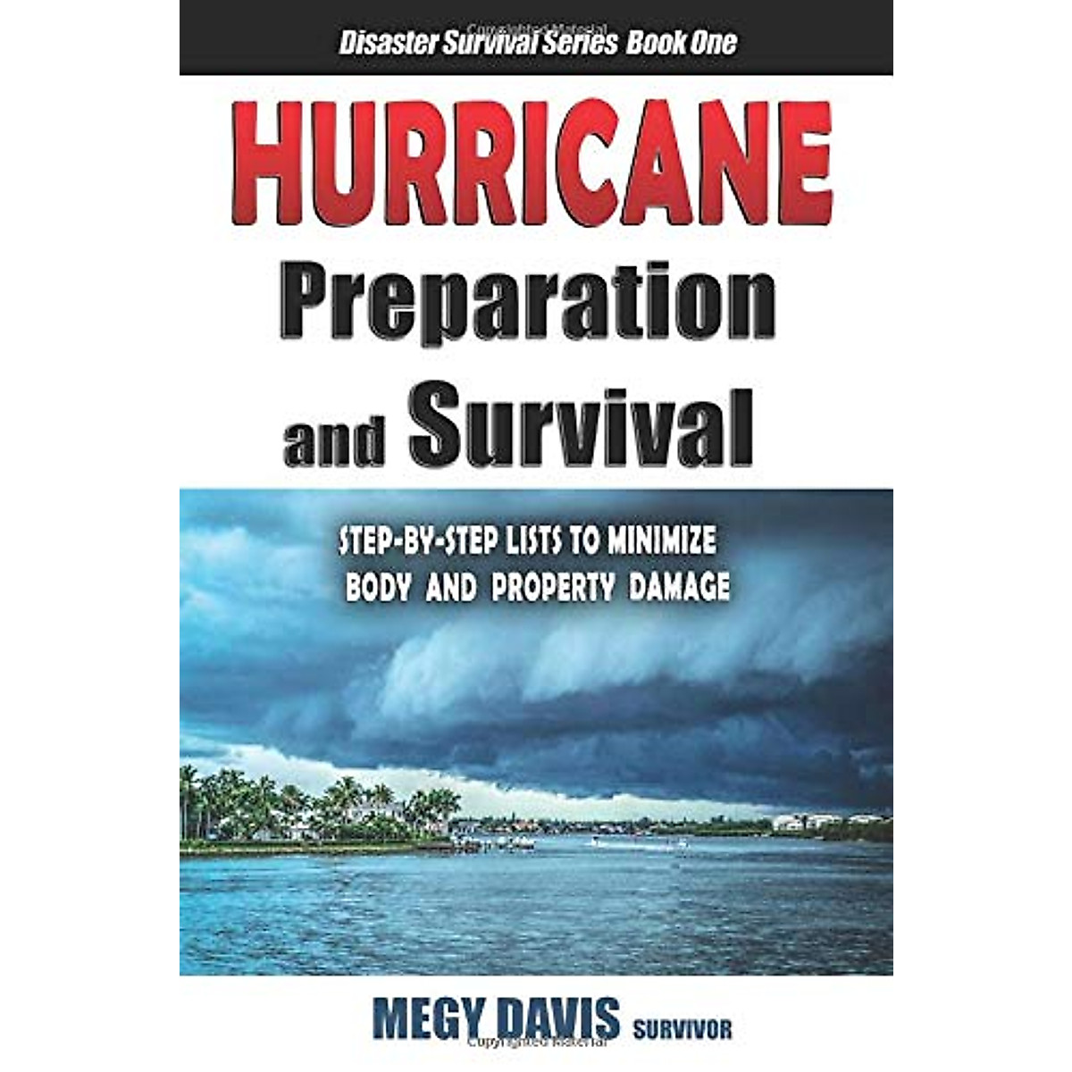Hurricane Preparation & Survival: Step-by-Step Lists to Minimize Body & Property Damage