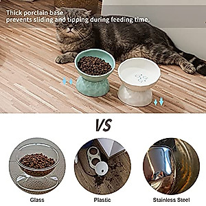 Ceramic Raised Cat Bowls, Tilted Elevated Cat Food and Water Bowls Set, Porcelain Stress Free Pet Feeder Bowl Dish for Cats and Small Dogs, Dishwasher and Microwave Safe, White & Green, Set of 2