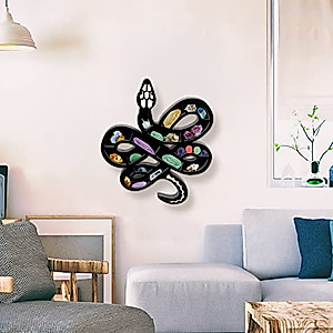 Takefuns Cat/Snake Shape Crystal Display Shelf, Wooden Floating Shelves, Wall-Mounted Crystals Stones Display Shelf, for Living Room Home Office Decoration (Coiled Snake)