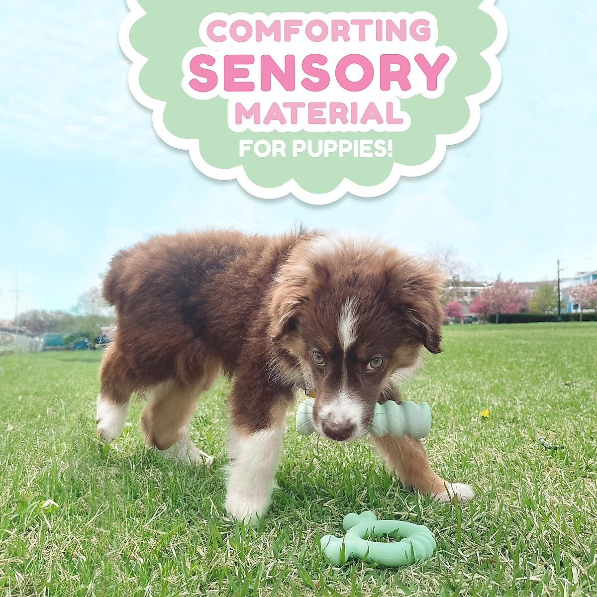 Nylabone Sensory Material Puppy Chew Toy Stick - Puppy Teething Toy for Boredom & Stimulation - Puppy Supplies - Peanut Butter Flavor, Small/Regular (1 Count)