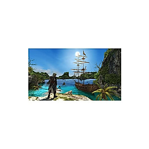 Assassin's Creed Black Flag + Rogue - Switch