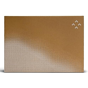 SPIEZ Safety Shoes for Men, Women 116 (Men Size 11, Black/Yellow