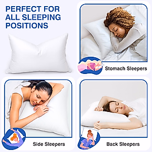 Zibroges ZB-DP01 Goose Feather Bed Sleeping, Hotel Down Pillows Queen Size, White Soft Cotton Cover, Fluffy Support Surround Fill Polyester for Back Side Stomach Sleeper 2 Count