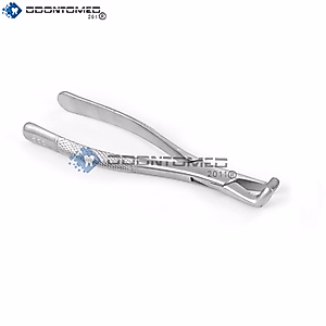 OdontoMed2011 Dental Extracting Forceps #222 Dental Extraction Forceps Stainless Steel