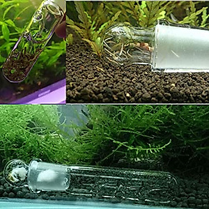 Hamiledyi Aquarium Supplies Clear Glass Planaria Trap Planaria Trap Catch Trap Leeches Catcher 3 Holes Aquatic Planarian Leech Trap Tube for Cherry Shrimp Crystal red Shrimp