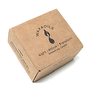 Wax and Oils Soy Wax Aromatherapy Scented Candles (Hot Apple Cider) 8 Ounces. Single