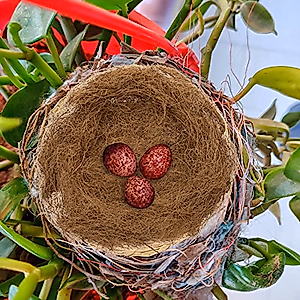 LASZOLA 2Pcs Handmade Woven Bird Breeding Nest Bed with 3.5 oz. Coconut Fiber, Flat Base Straw Bird Nest Hatch House Cage with Natural Coconut Fiber for Dove Pigeon Parrot Rabbits Hamster