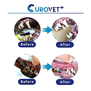 CUROVET MucoMax, Oral Wound Care Gel for Dogs and Cats, 0.35oz. Safe and Easy Care with 100% Natural Ingredients. Treats Oral Wound and Inflammation.