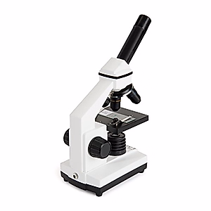 Celestron – Celestron Labs – Monocular Head Compound Microscope – 40-800x Magnification – Adjustable Mechanical Stage – Includes 2 Eyepieces and 10 Prepared Slides