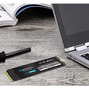 Dataram 1TB M.2 M-Key PCIe NVMe SSD for 2013-16 MacBook, Mac Pro, Air, Mini, iMac