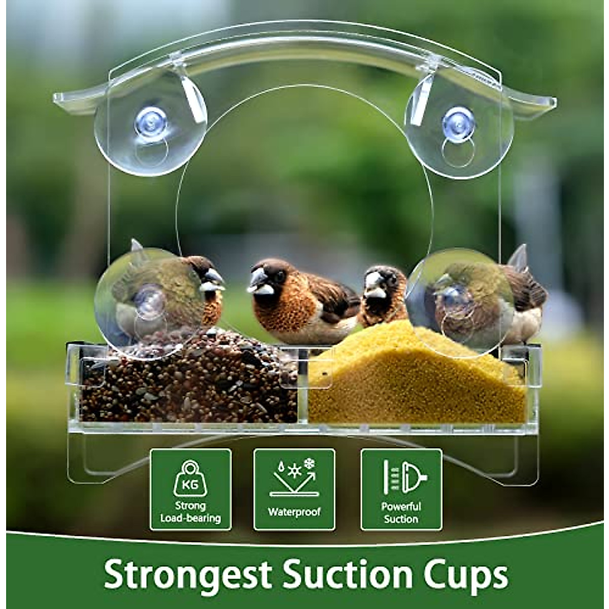 Window Bird Feeders for Outside with Strong Suction Cups Home Bird Feeder, Transparent Bird House Cat Kids and Elderly Viewing Bird Feeder for Window Perch (Polyurethane)