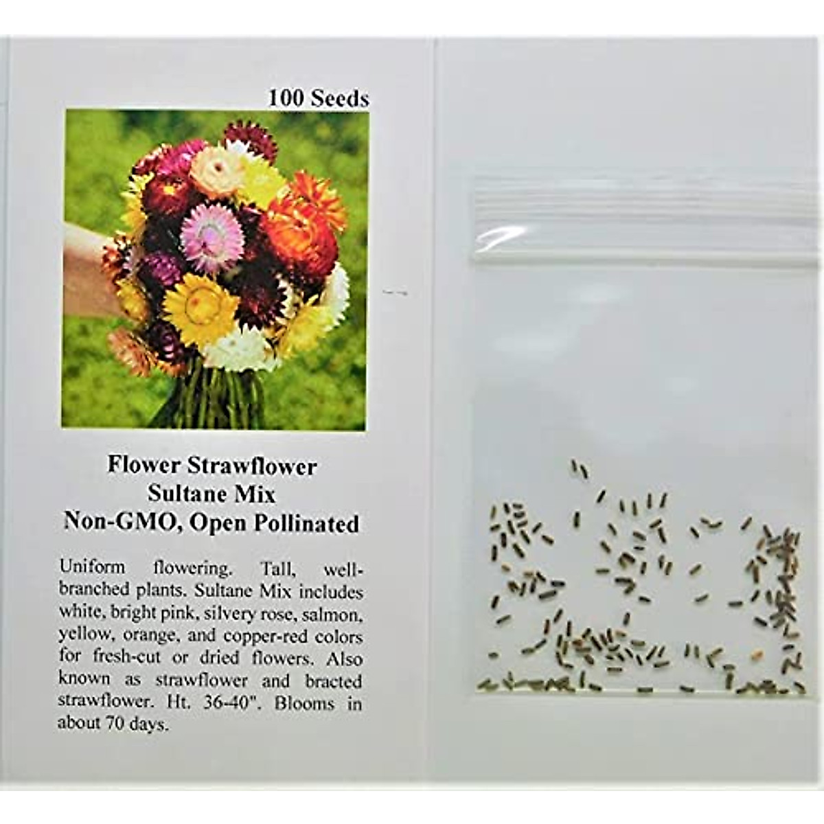 David's Garden Seeds Flower Strawflower Sultane Mix 1925 (Multi) 100 Non-GMO, HeirloomSeeds