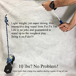 Pet Fit For Life Plush Tough and Durable Squeaky Dog/Puppy Wand Rope Toy - Duck on Rope Teaser Wand