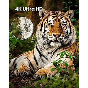 Anker Nebula Cosmos Max 4K UHD TV Home Theater/Entertainment Projector, Outdoor Projector, Android TV 9.0 with 5000+ Apps, 360° of True 3D Audio, HDR10, HLG, Dynamic Smoothing (Renewed)