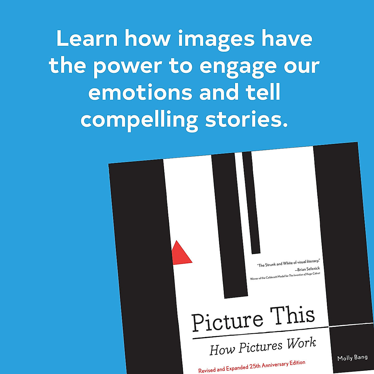 Picture This: How Pictures WorkRevised and Expanded 25th Anniversary Edition (-)