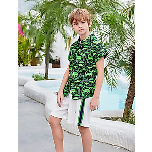 uideazone 5 Years Dinosaur Green Boys 3D Printed Holiday Button Down Shirt Novelty Tropical Themed Hawaiian Tops Clothes for Boys 5-6T