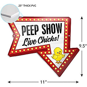 Bigtime Signs Peep Show Live Chicken Decor PVC 11"x9.5''- Chicken Coop Accessories - Chicken Gifts for Chicken Lovers, Chicken Brooder | Funny Chicken Decor for chicken feeder and chicken nesting box