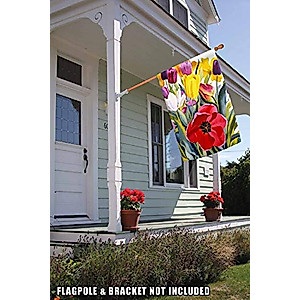 Toland Home Garden 109601 Tulip Spring Garden Flag, 28" x40", Double Sided for Outdoor Summer House Yard Decoration
