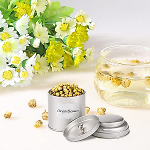 Fvstar Tea Tin with Airtight Double Lids,8 oz Loose Leaf Tea Storage Tins,Round Small Tin Can Container Box,Kitchen Canister for Coffee,Candy,Herbs and Spices (Silver)