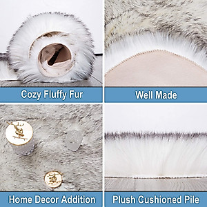 Carvapet Soft Fluffy Rugs Faux Fur Sheepskin Area Rug for Bedroom Floor Mat Carpet for Living Room Nursery 5 x 7 Feet,White with Black Tips