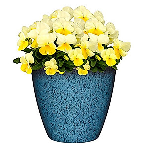 Classic Home and Garden 807-375R Premiere Collection Planter, Vogue 8", Indigo